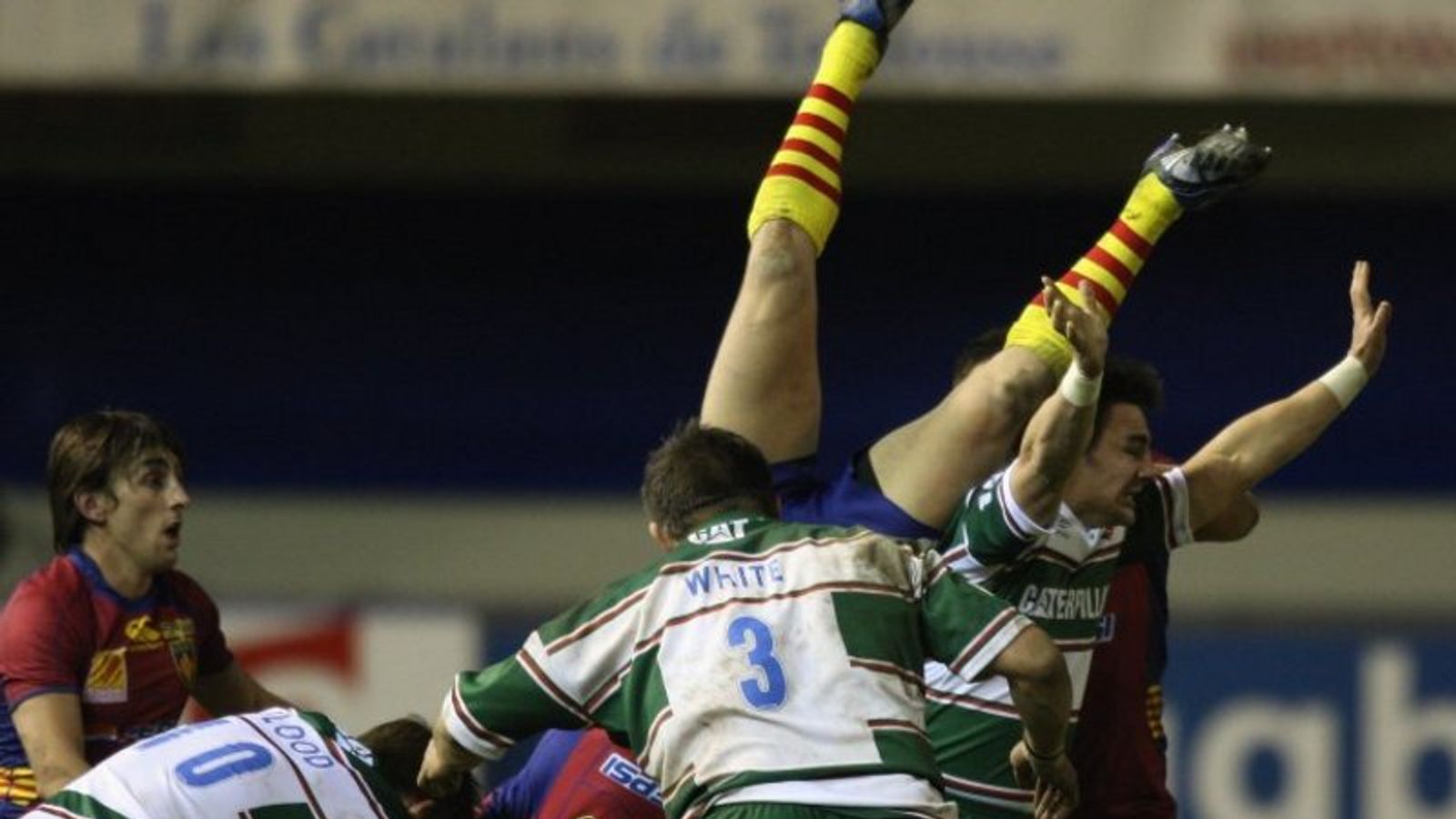 Leicester scrum-half cited | Rugby Union News | Sky Sports