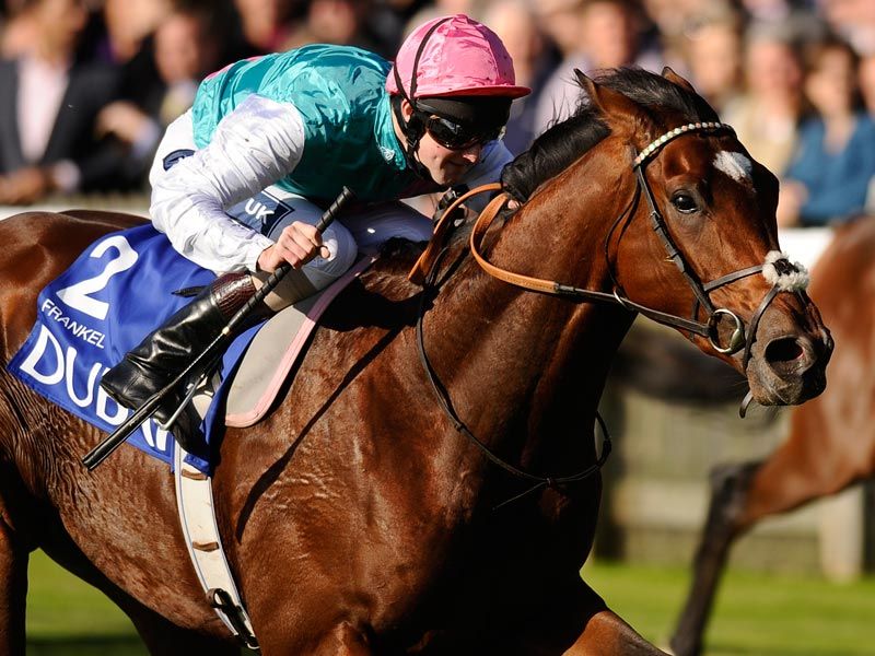 Frankel: A career in pictures | Horse Racing Photos | Galleries ...