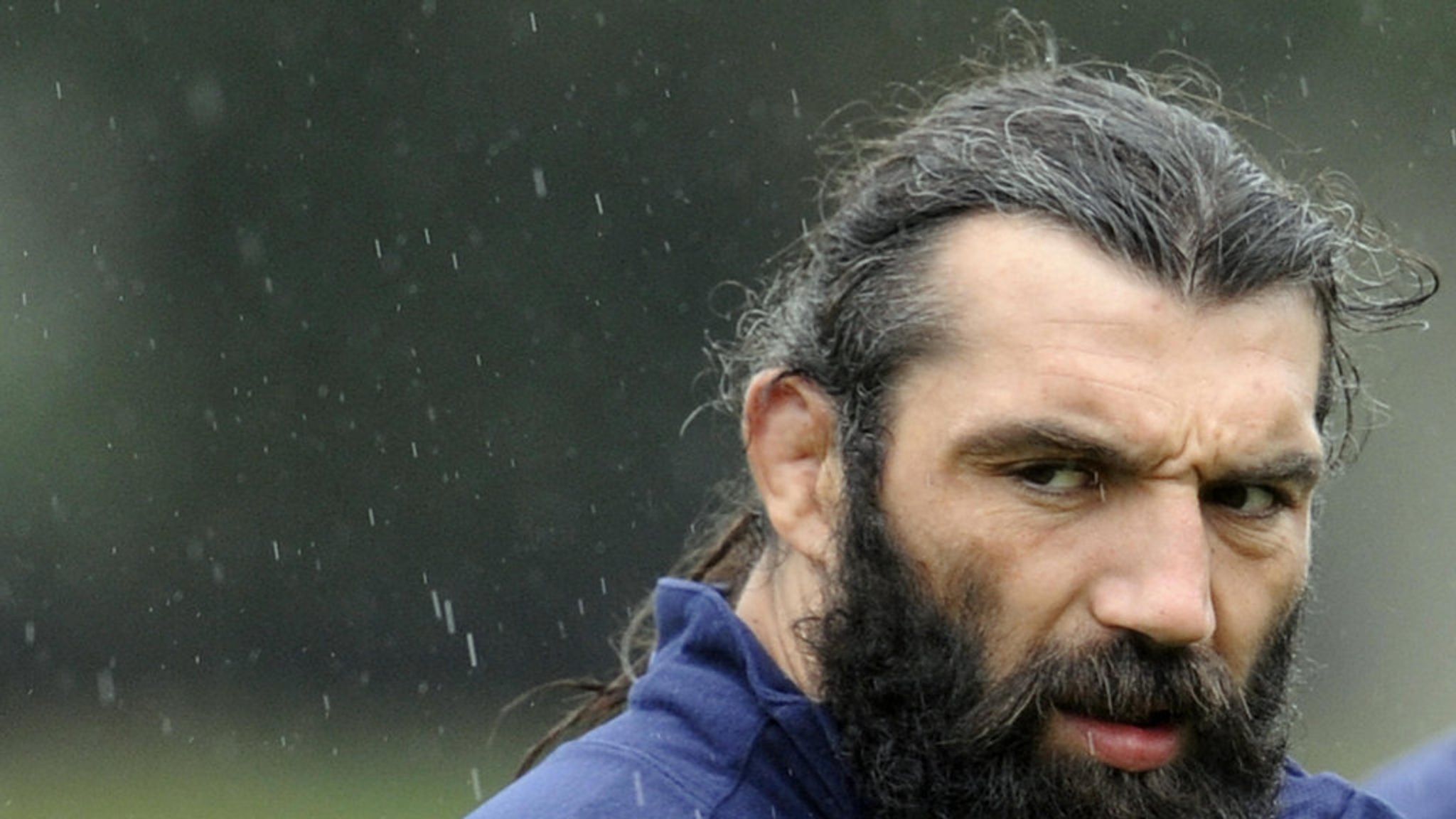 Sebastien Chabal Hits