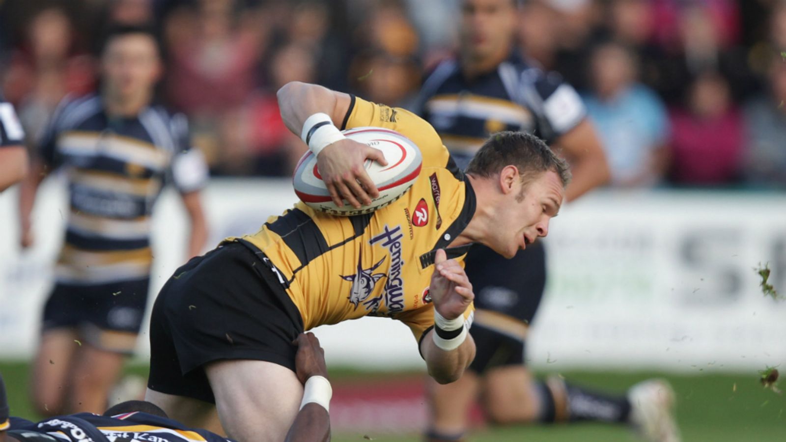 Match Preview - Gloucester vs Wasps | 22 Sep 2012