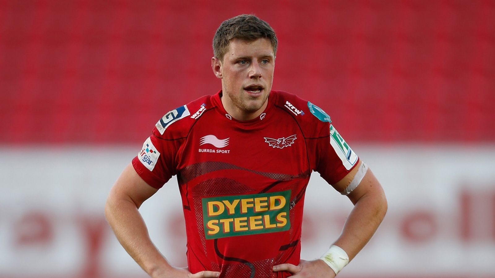 Rhys Priestland's loss a big blow to Welsh hopes in the Six Nations ...