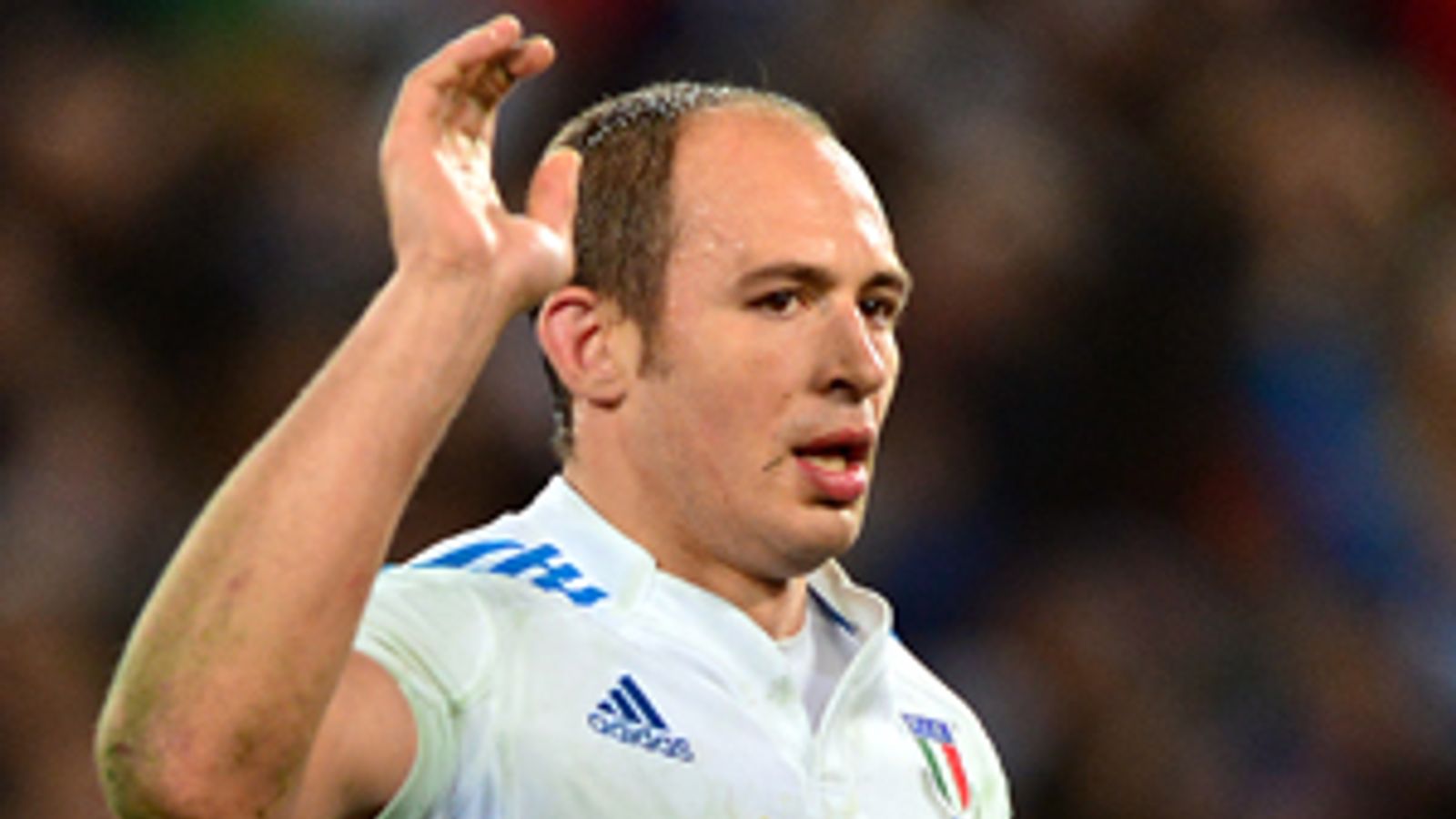 Sergio Parisse: Scotland are favourites for Six Nations clash with ...