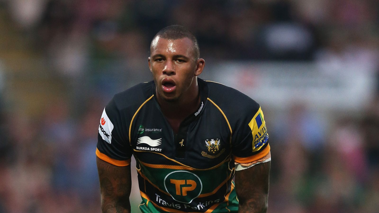 Heineken Cup Pool 1: Jim Mallinder piles the praise on Northampton's ...