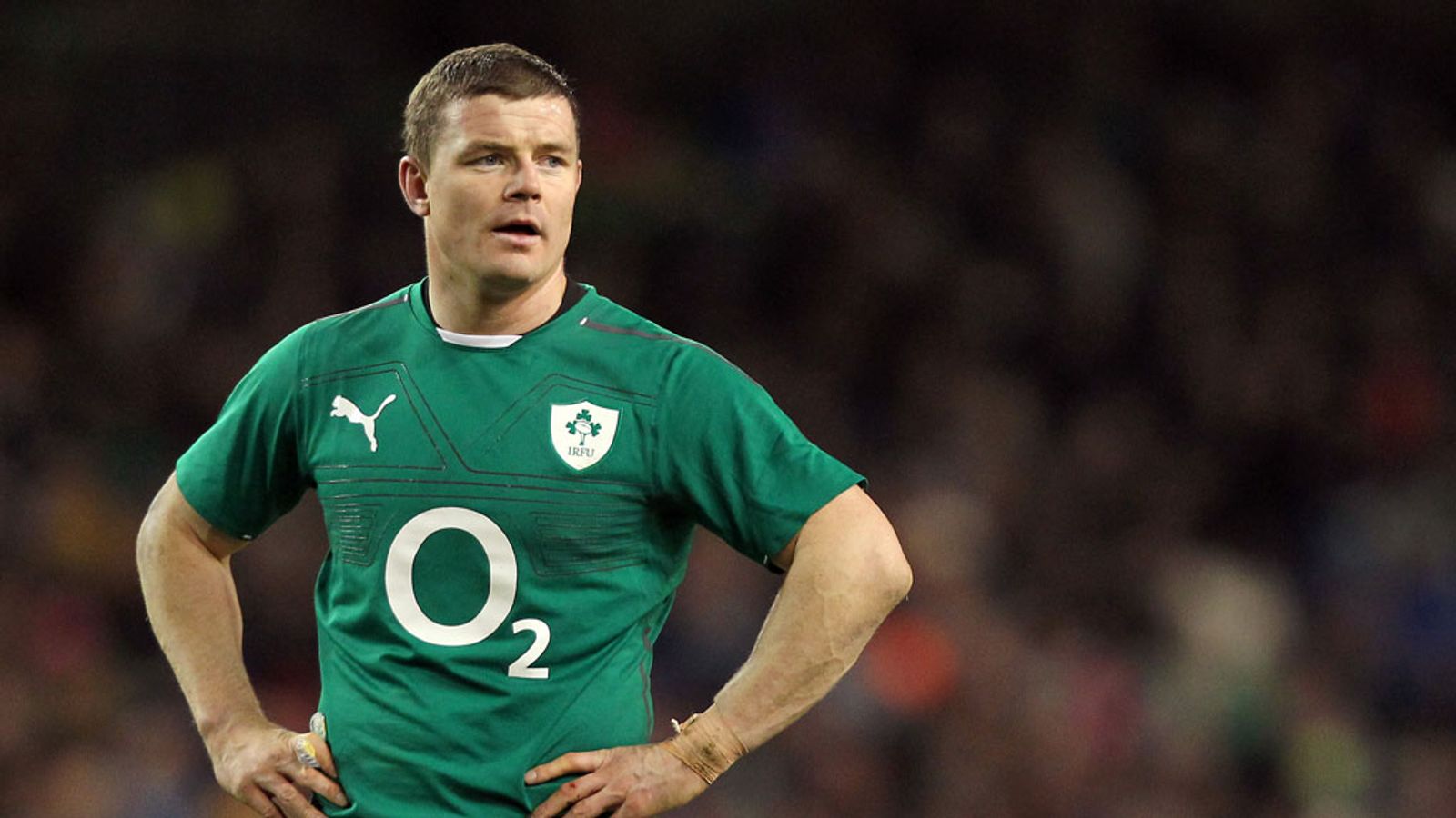 Ireland hope Brian O'Driscoll and Jonathan Sexton will be fit to face ...