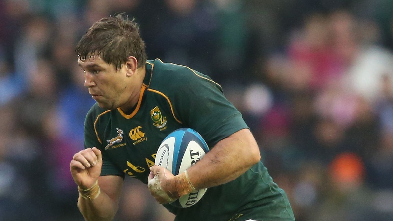 Springboks lose Alberts | Rugby Union News | Sky Sports