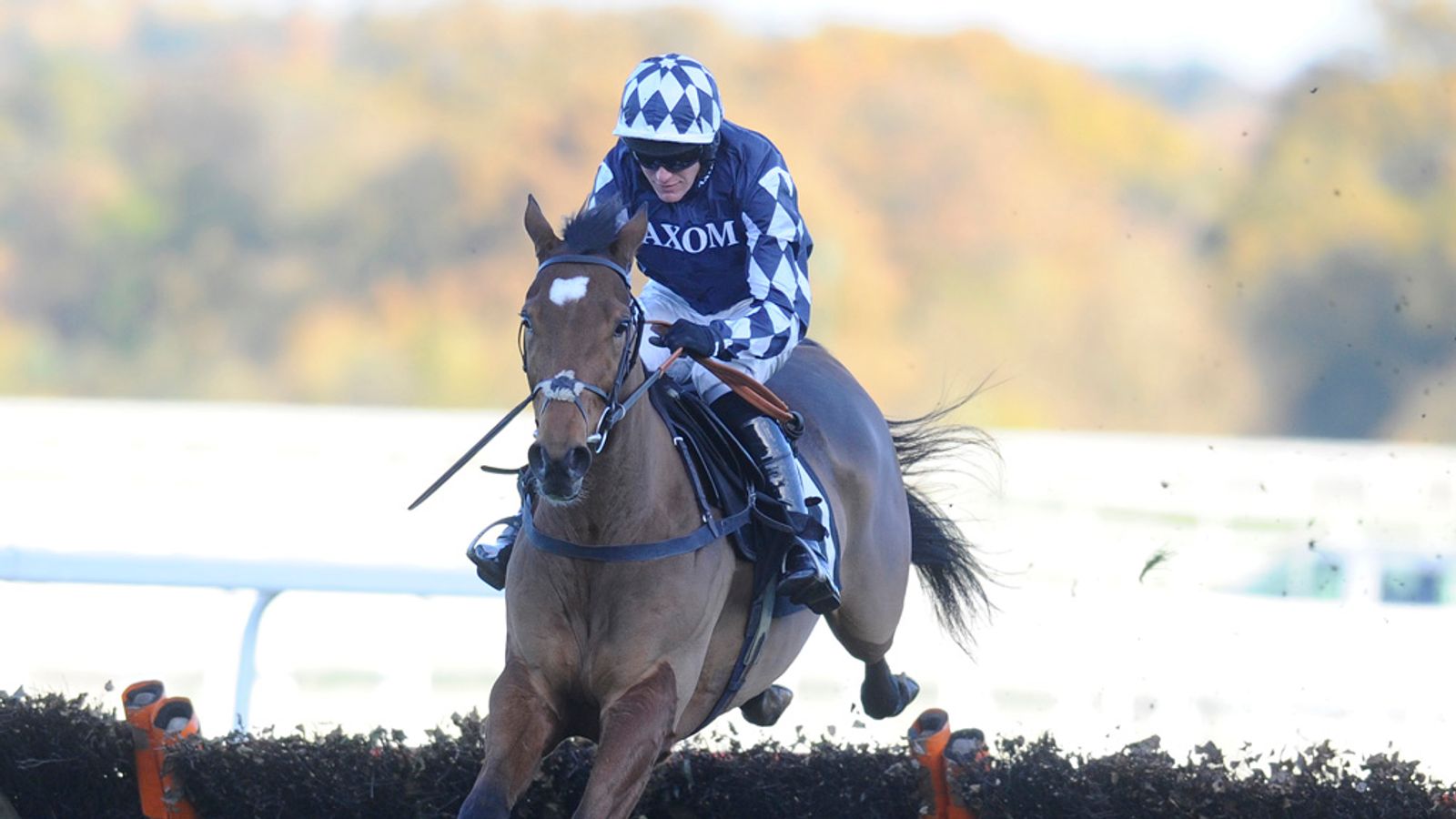 Axom dream of some big race targets for Shotgun Paddy and Irving ...