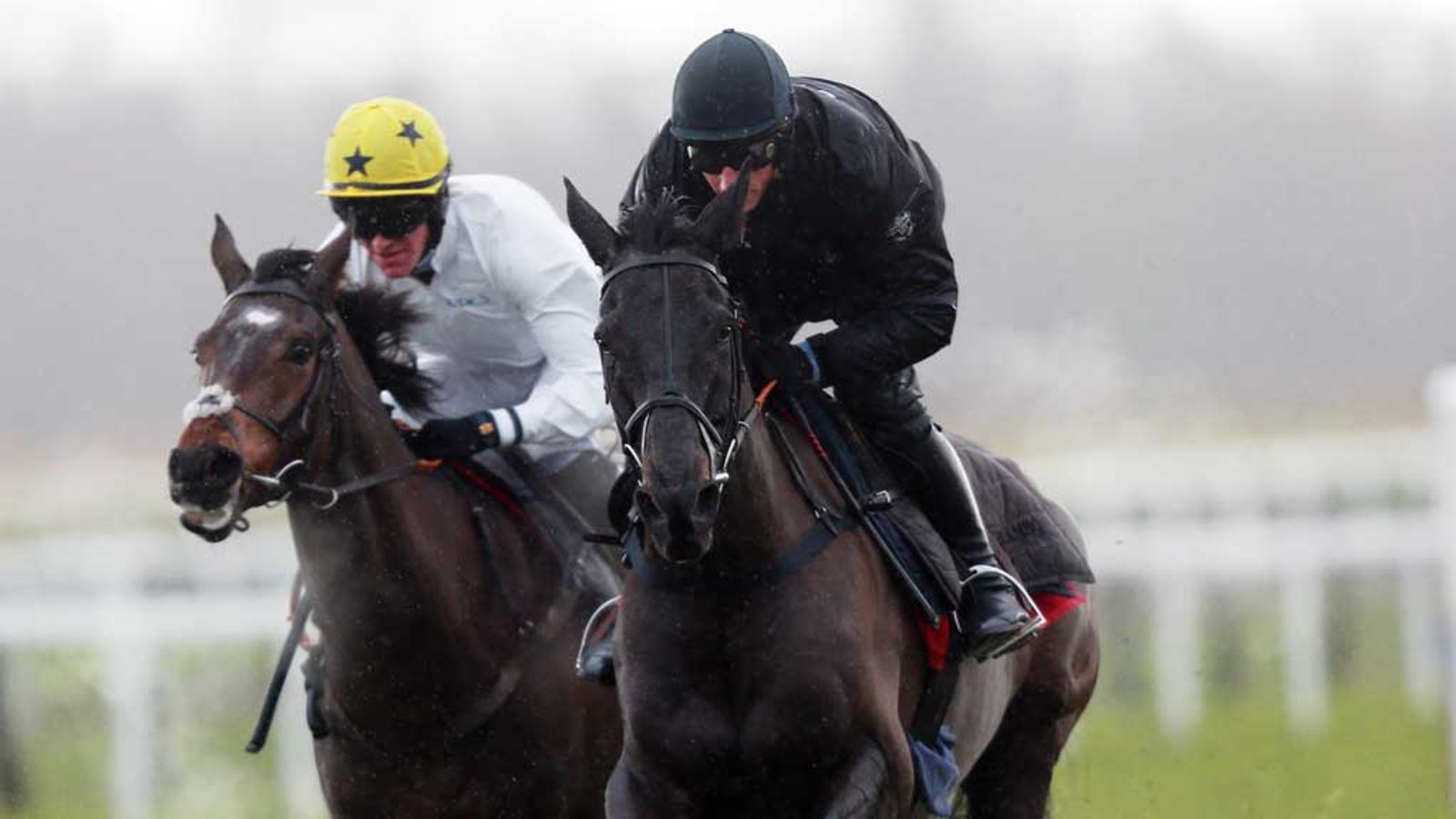 Big Buck's on course for Cleeve | Racing News | Sky Sports