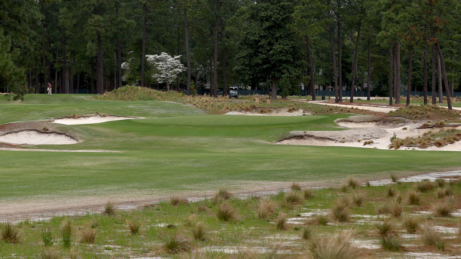 Finishing touches applied to Pinehurst No 2 for US Open double | Golf ...
