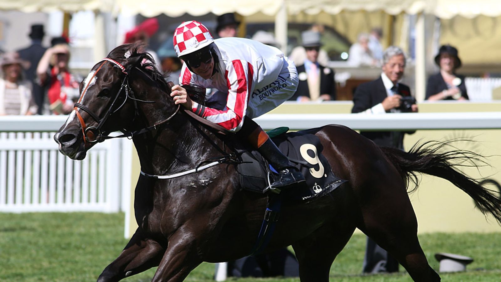 Alex Hammond: Play it Cooler | Racing News | Sky Sports