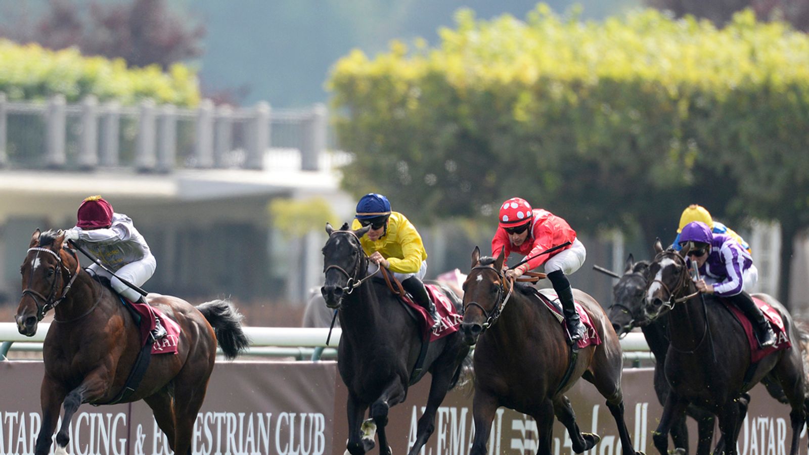 Ectot impresses in Prix Niel | Racing News | Sky Sports