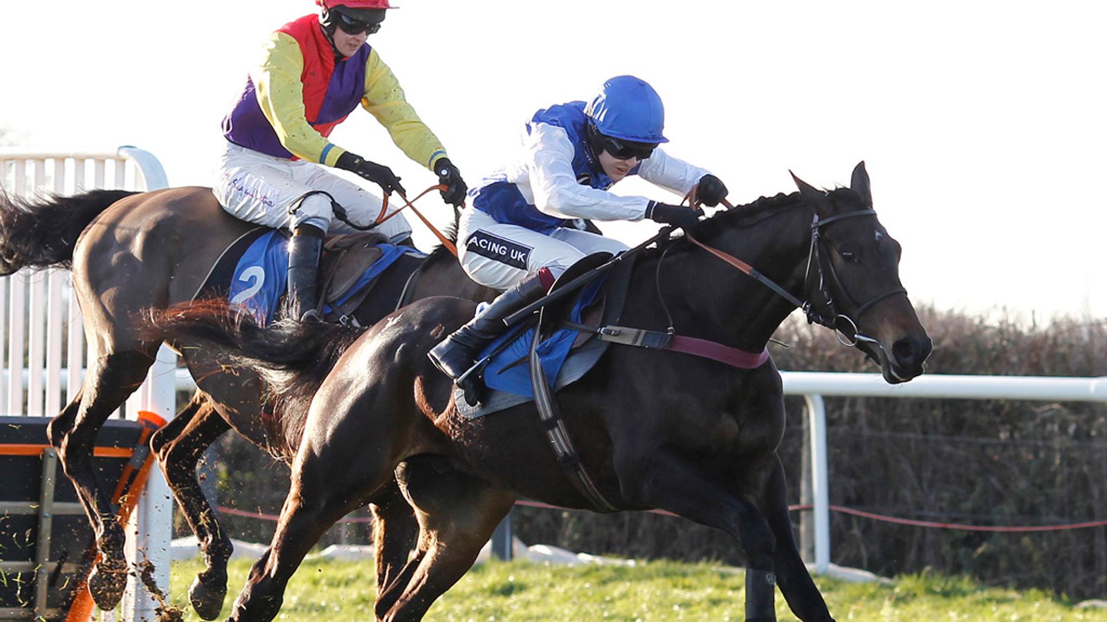 Venetia Williams on weather watch for Aso | Racing News | Sky Sports