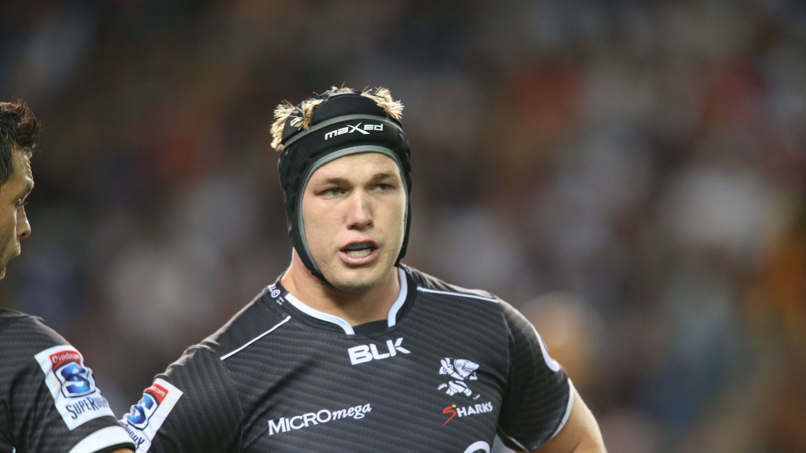 Pieter-Steph du Toit back in frame for South Africa’s World Cup ...