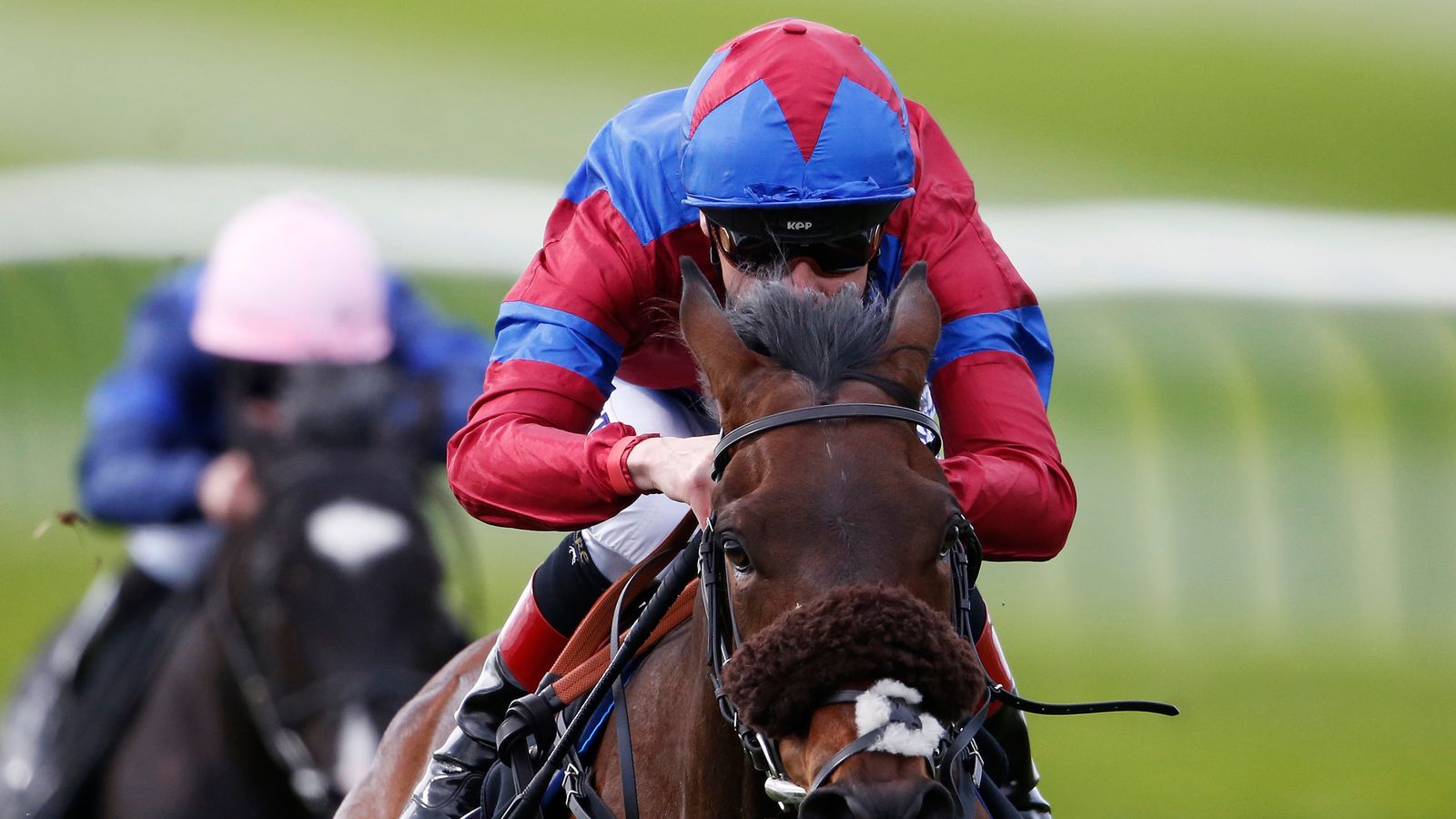 Hugo Palmer hopeful of big Dubai run from Gifted Master | Racing News ...