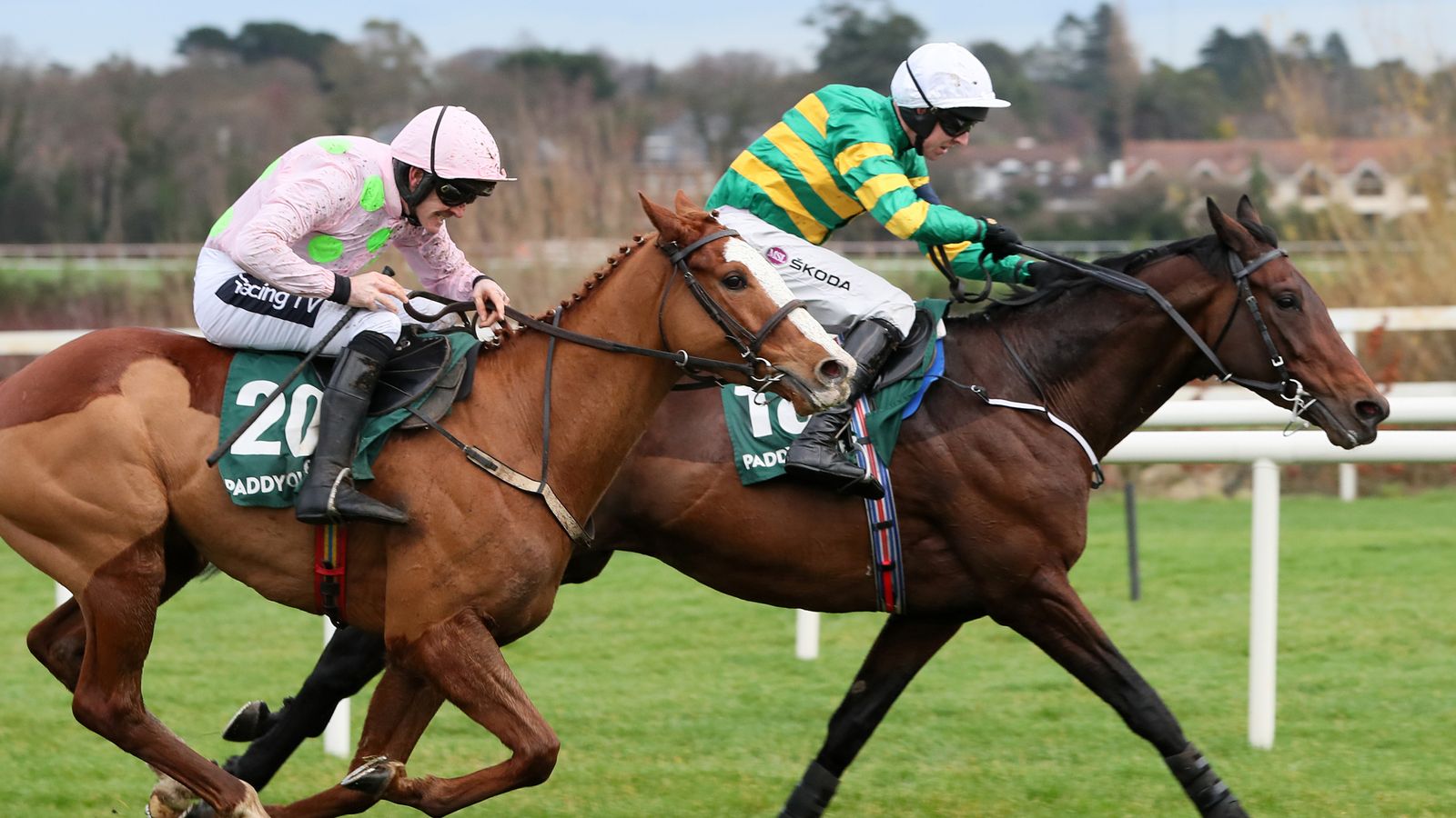 Sir Erec faces big test at Leopardstown | Racing News | Sky Sports