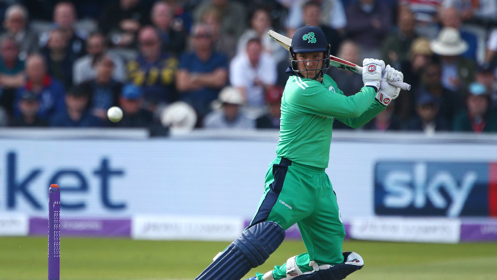 Ireland recall Gary Wilson for ODI against England in Dublin | Cricket ...