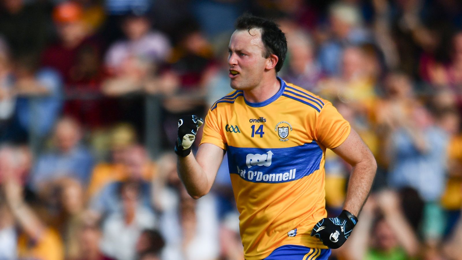 Qualifiers: Clare edge Westmeath and Laois beat Offaly | GAA News | Sky ...