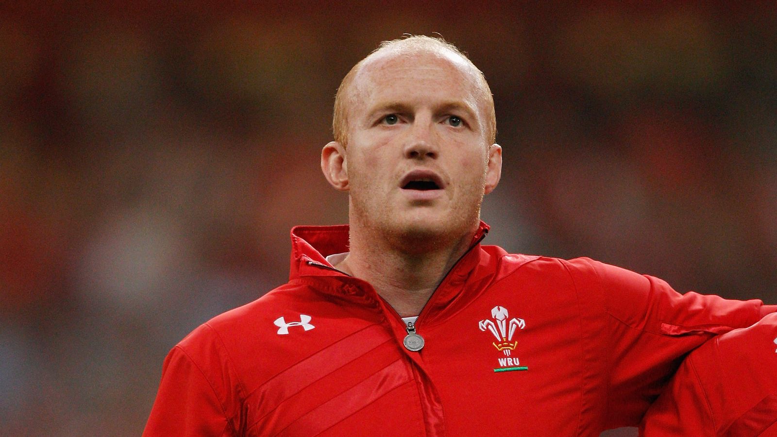Martyn Williams named Wales team manager | Rugby Union News | Sky Sports