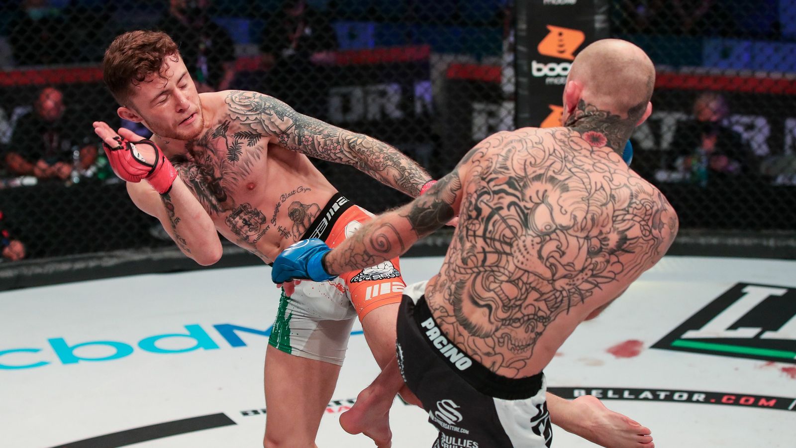 Bellator Milan: James Gallagher calls out bantamweight division after ...