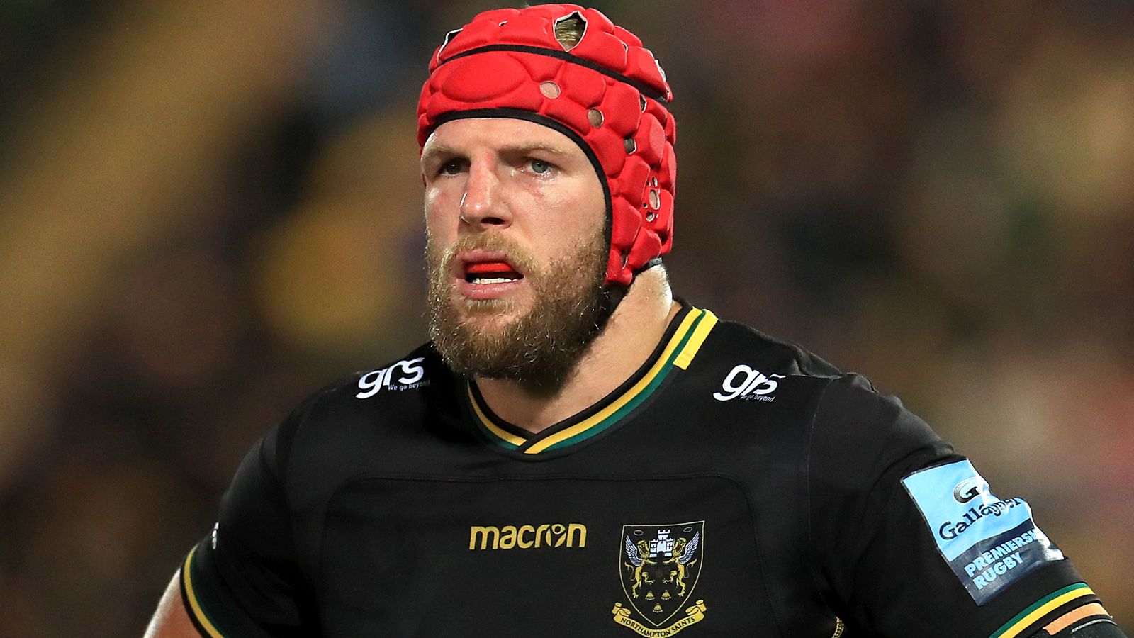 Concussion in sport: James Haskell, involved in Progressive Rugby group ...