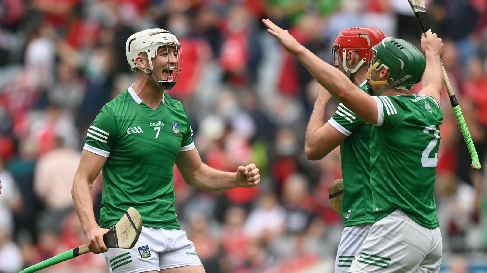 2021 Hurling All-Star nominations: Limerick lead the way after All ...