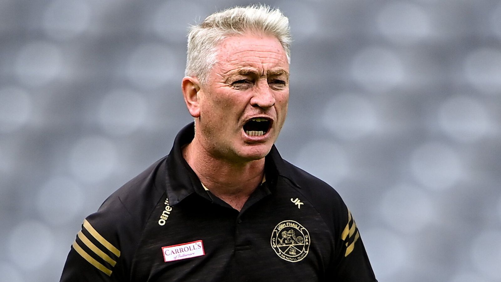 Johnny Kelly named new Offaly senior hurling manager | Gaelic Football ...