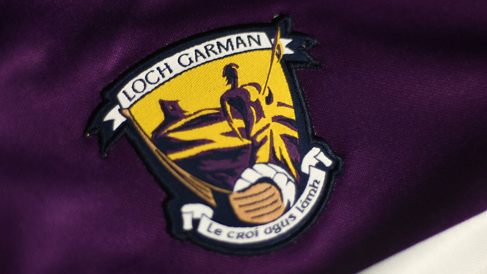 Wexford GAA call for GAA Special Congress on referee abuse | Strike ...