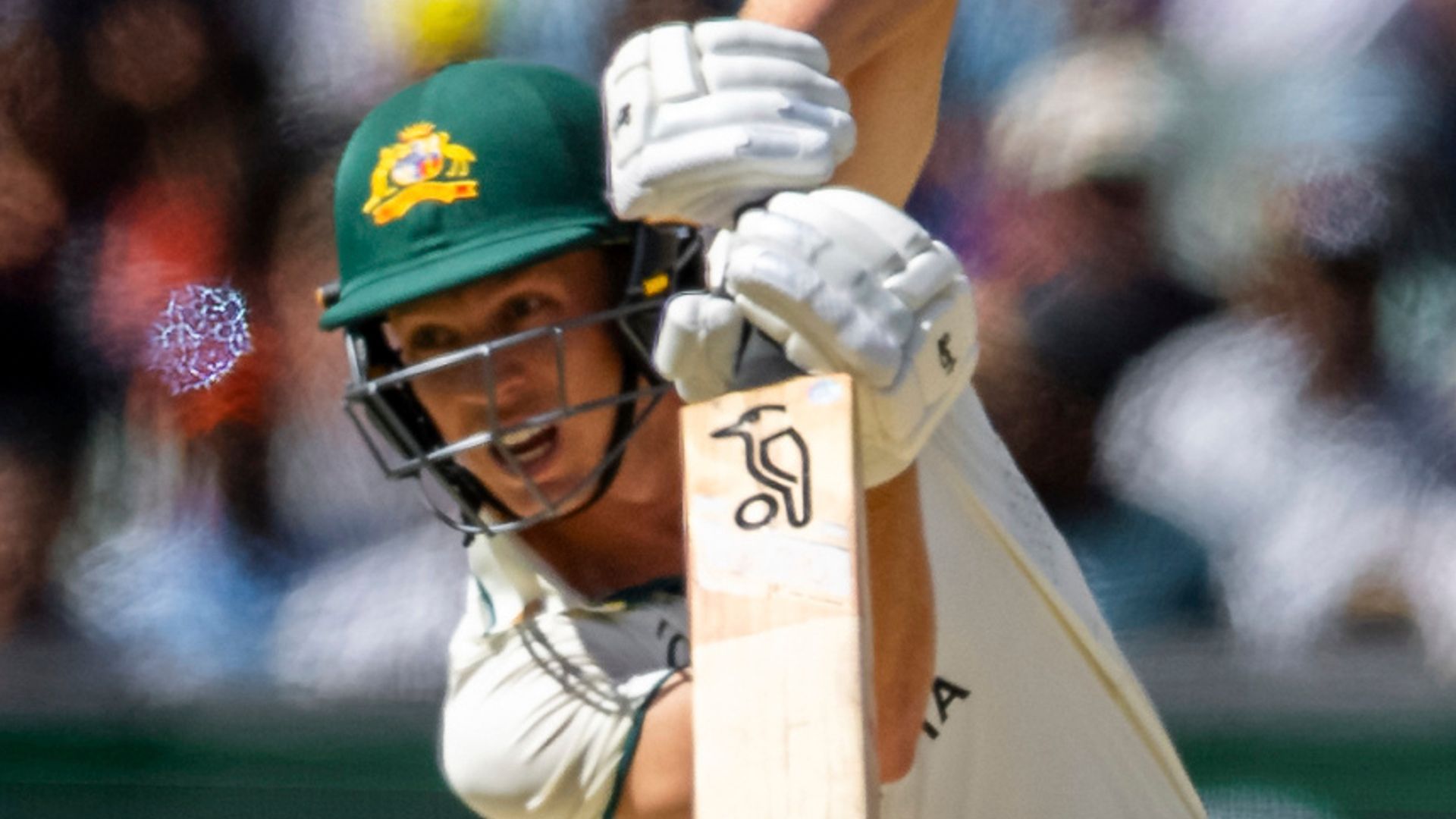 Australia Vs India Live Updates And Scorecard WireFan Your Source Australia Vs India Live Updates And Scorecard WireFan Your Source